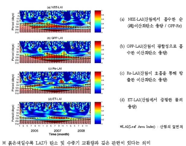 수학적 분석 결과 산림 피해가 지구온난화 가속시킨다