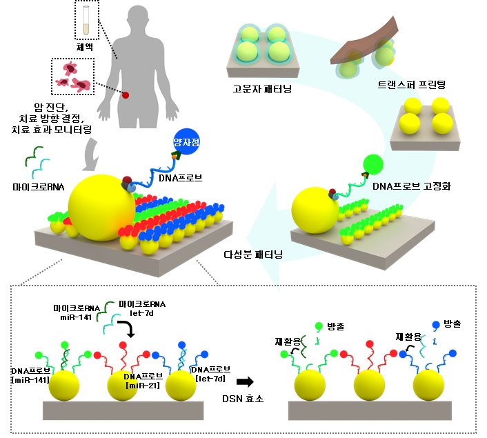 KAIST, 암 조기진단·치료방향 결정하는 시대 열었다