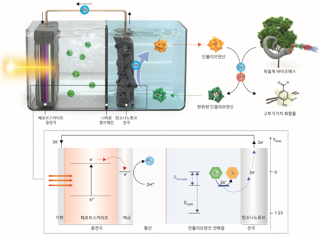 태양에너지 활용, 폐목재→수소에너지?···'태양광 수소' 탄생