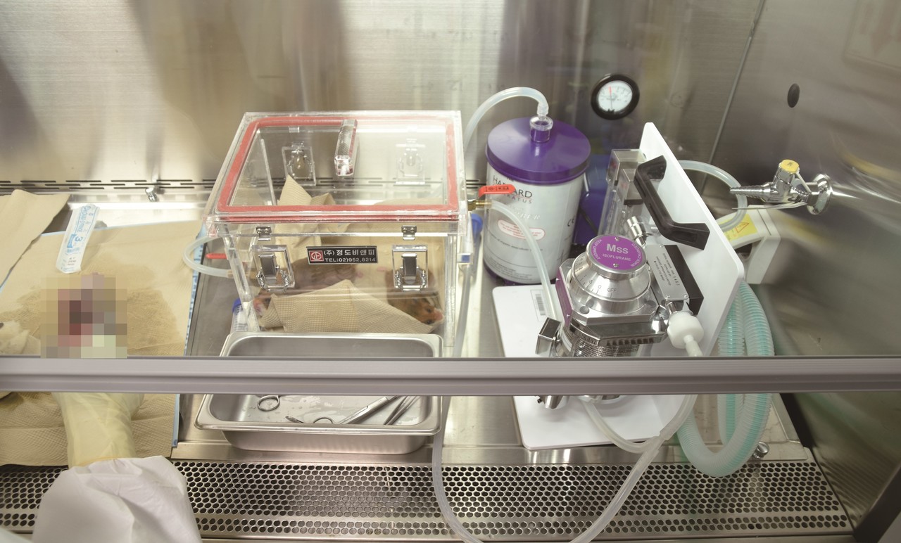 부검만 수천마리···하루 7번 BL3 감행 '코로나 최전선' 과학자들 국내외뉴스-제약산업정보포털