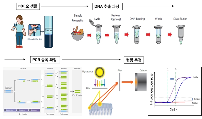 최대 4종 동시에···변종 바이러스 신속 진단