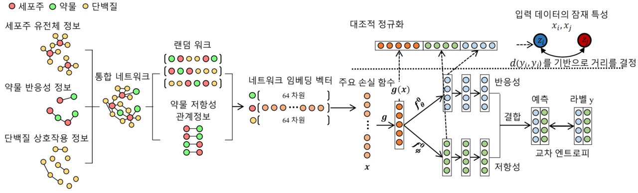 환자 맞춤형 항암제?···"AI로 결과 미리 예측한다"